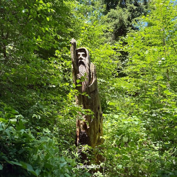 Sentiero Spirito del Bosco a Canzo: passeggiata e avventura anche per ...